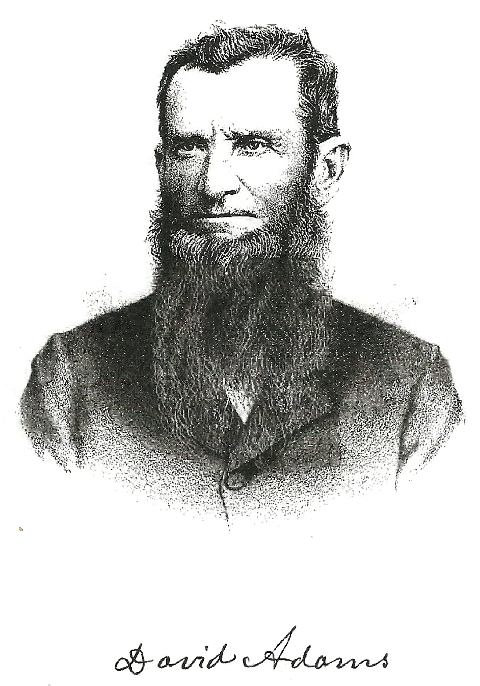 David Adams Biography – Kentucky Kindred Genealogy
